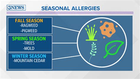 Weather Blog Seasonal Allergies