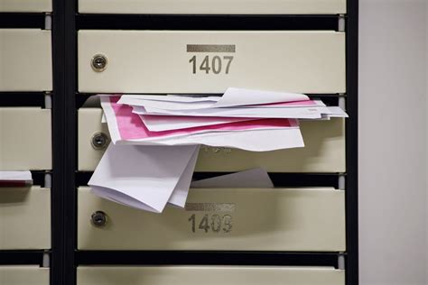 Redditor Shares Key Difference Between Most Mail And Junk Mail