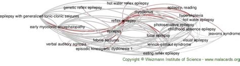 Reflex Epilepsy Disease Malacards Research Articles Drugs Genes