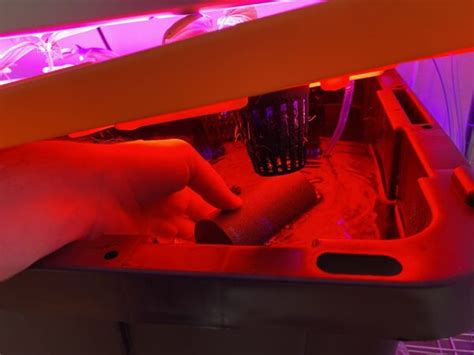 Deep Water Culture DWC Systems A Complete Guide For Hobbyists Deep Water Culture DWC Systems A Complete Guide For Hobbyists