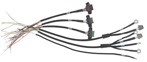 Wire Harness Assembly