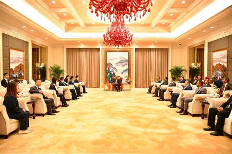 Adhadhu Muizzu Meets Officials From Sinamale Bridge Company