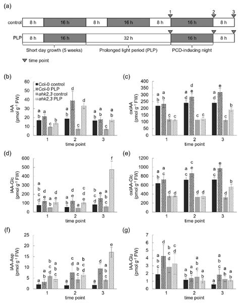 Photoperiod Stress Causes An Increased Concentration Of Iaa Iaa Glc
