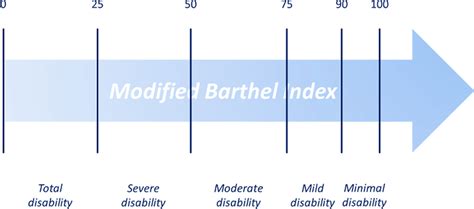 Modified Barthel Index [full Text] Development Of A Barthel Index