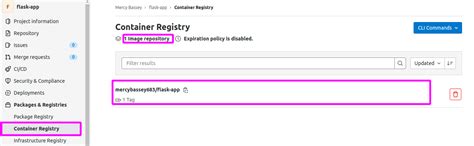 Learn The Ins And Outs Of Gitlab Ci For Devops