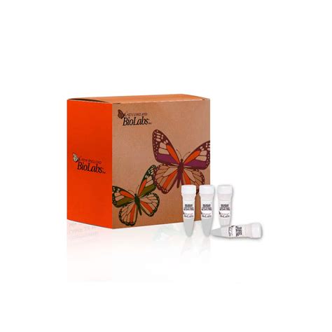 Uniscience Amv Reverse Transcriptase 1 000 Unidade