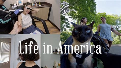 미국에서 타투 지우기 두 번째 세션🥵 맥시랑 유묘차 산책 시언니가 머리 잘라줌💇🏻‍♀️ 남편 가족들이랑 화덕에 피자 구워 먹기 Youtube