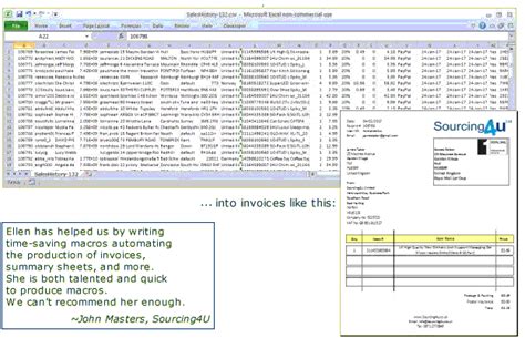 Custom Excel Macro Consultant Ellen Theisen