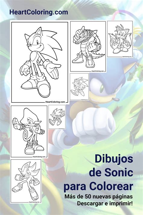 Dibujos Para Colorear De Zorros Para Imprimir En A4