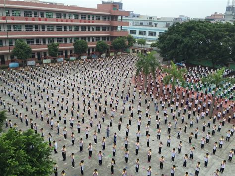 东莞常平文华学校招聘主页 万行教师人才网