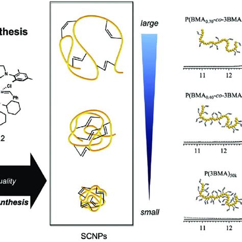 Formation Of Dynamic Covalently Cross Linked Single Chain Polymer Download Scientific Diagram