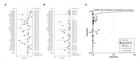 Figure E Pooled Sensitivity Pooled Specificity And Summary Roc Curve