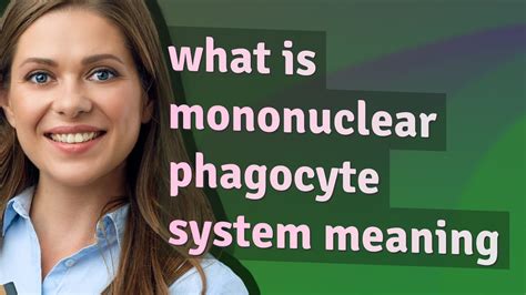 Mononuclear Phagocyte System Meaning Of Mononuclear Phagocyte System Youtube
