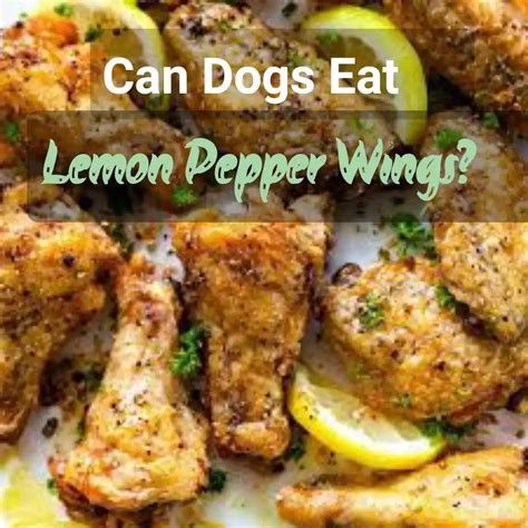 Can Dogs Eat Lemon Pepper Wings Safely