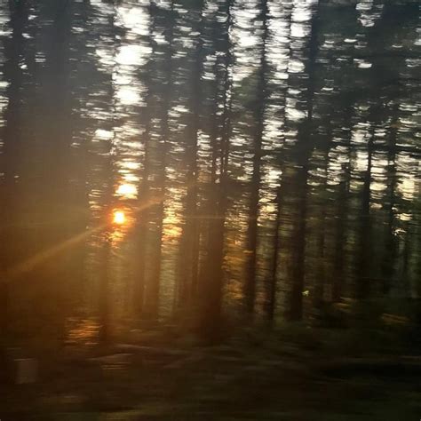 Tucker Pearce Elixir Lyrics Genius Lyrics Tucker Pearce Elixir Lyrics Genius Lyrics