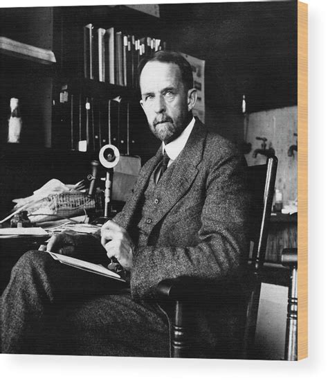 Thomas Hunt Photo Thomas Hunt Morgan Ebay