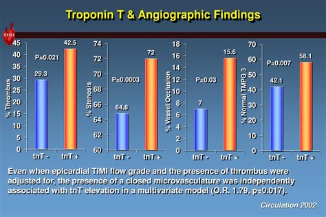 Timi 3 Flow Nashvillevol