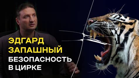 Почему гимнасты не любят страховку а хищники инструкции по технике безопасности Youtube