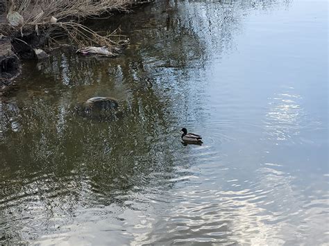 Flash Санхүү сургалтын төв 🤩🎅🎁Сургалтын онцгой хөнгөлөлт🎁🎅🤩 Та
