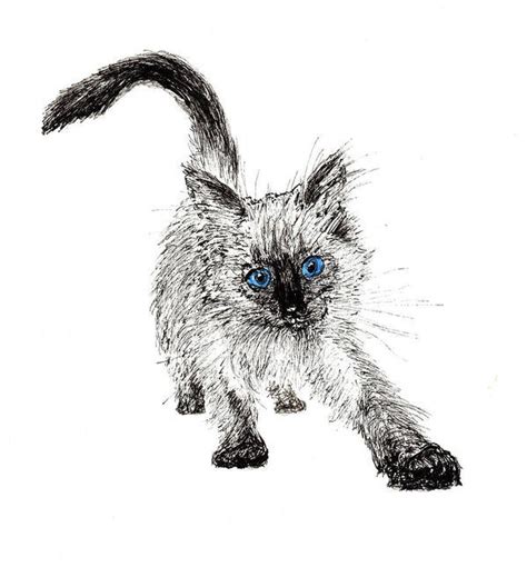 Sexy Doll Pussy Cat Drawings