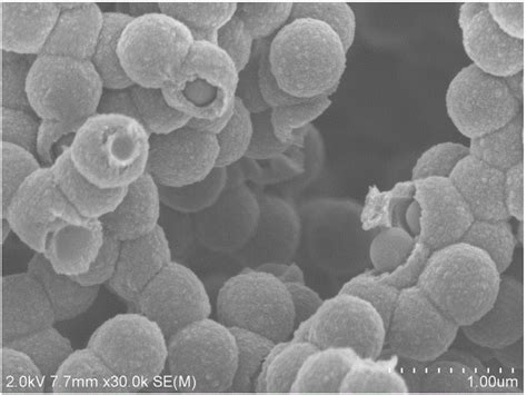具有空腔的核壳结构微粒的制备的制作方法 3