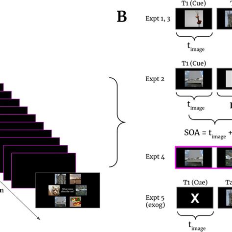 Illustrates Stimulus And Trial Structure For Experiments 15 A Download Scientific Diagram