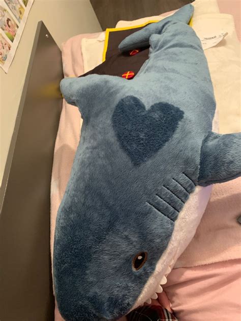 Blahaj Shark Plush Cute Shark Shark Pictures