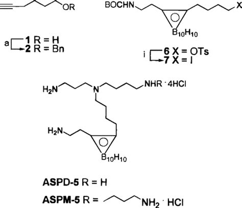 Synthesis And Biological Evaluation Of Boron Containing Polyamines As Potential Agents For