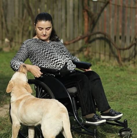 მთავარი ბახვიჰესი