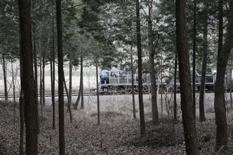 편백숲 사이로 증기기관열차가 지나고 있다 그 너머로는 오마이포토