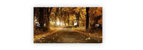 Automatic Image Slider In Html CSS And Javascript