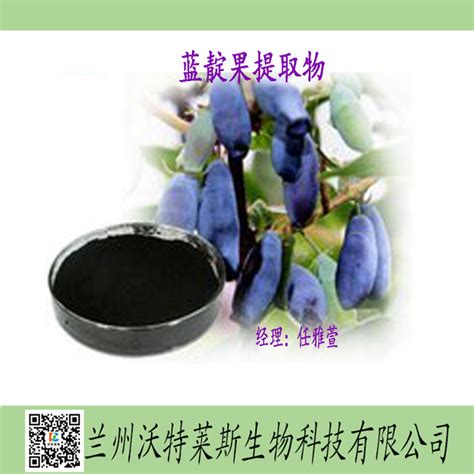 兰州沃特莱斯 蓝靛果多肽 蓝靛果酵素 蓝靛果提取物 蓝靛果汁粉 阿里巴巴
