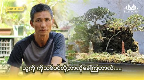 စျေးနှုန်းအားဖြင့် ရာနဲ့ချီတဲ့အထိရှိပါတယ်ဆိုတဲ့ ကိုသစ်ပင် ကိုမိုး Youtube
