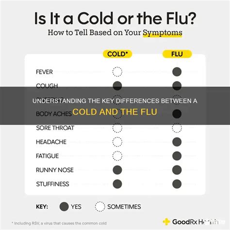 Understanding The Key Differences Between A Cold And The Flu Medshun