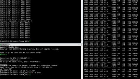 零基础linux10进程进程终止main函数的返回值进程等待终止mainc Csdn博客 零基础linux10进程进程终止main函数的返回值进程等待终止mainc Csdn博客