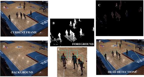 process inside of player detection stage player detection process