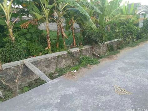 Dijual Tanah Di Belakang Sma 1 Selong Gerbang Property
