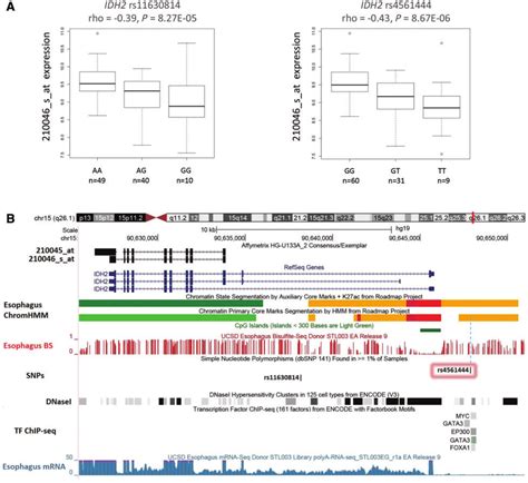 A Expression Quantitative Trait Loci Eqtl Analysis Between Download Scientific Diagram