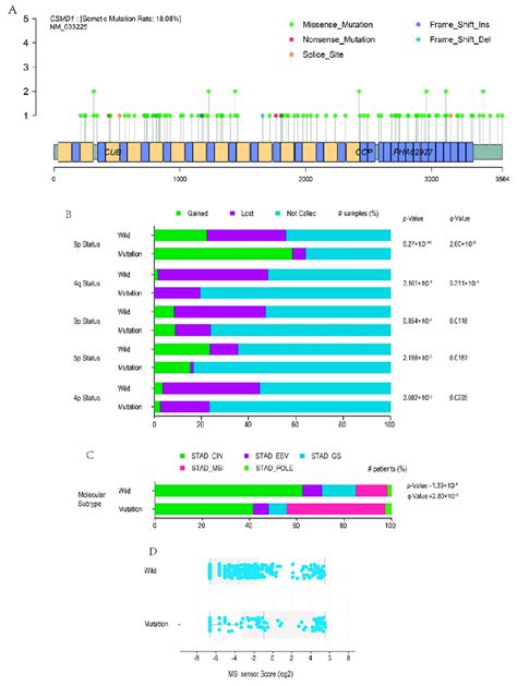 Csmd1 Mut Profile And Biogenetic Alterations B D Were From Yjr