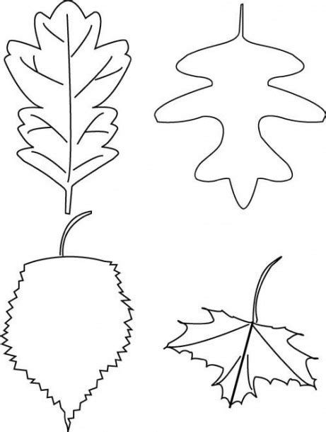 Leaf Line Art Worksheet