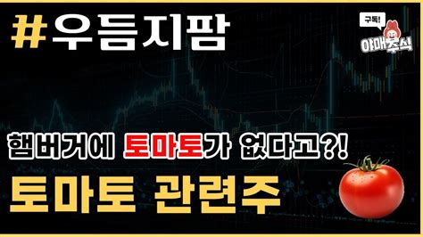 📈 관심 테마 토마토 관련주 우듬지팜 그리고 Youtube