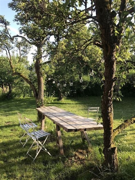 Пин от пользователя Уланова Дарья на доске Природа и путешествия Идеи озеленения Дизайн сада