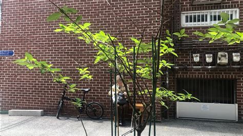 Vlog 전업주부도 아닌 워킹맘도 아닌 사람의 일상 Youtube