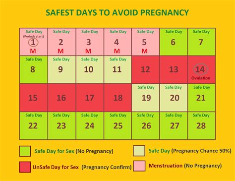 Why Is Menstruation Important For A Woman Menstrual Cup And Pms