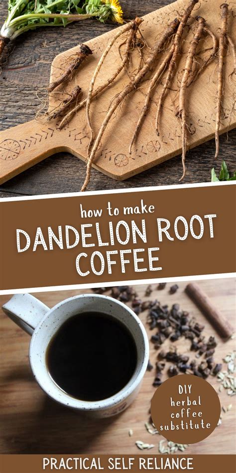 24 Dandelion Recipes Health Benefits More Artofit