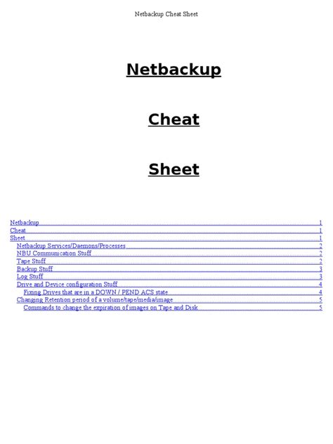 nbu cheat sheet for 24x7 ops pdf disk storage backup