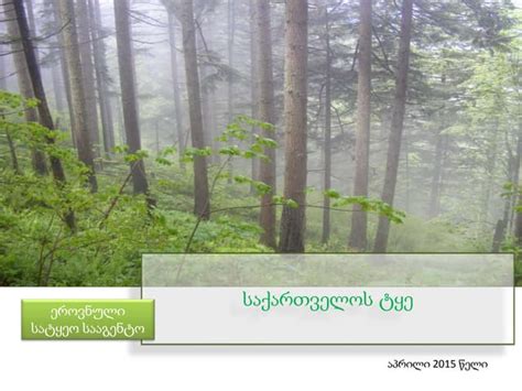 საქართველოს ტყე Pptx