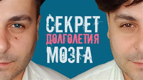 Секрет долголетия мозга Нейрогимнастика Развитие памяти внимания мышления и речи для