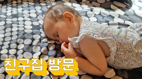 체코vlogㅣ아리야 친구집 방문😄ㅣ마당에서 즐기는 고기파티 🍖 Youtube