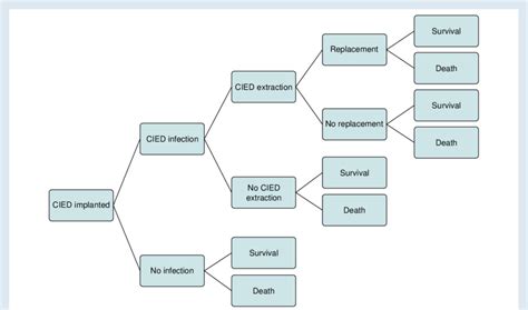Decision Tree Model Adapted From Kay Et Al 12 Cied Cardiac